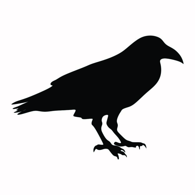 Official Rules Rook Game